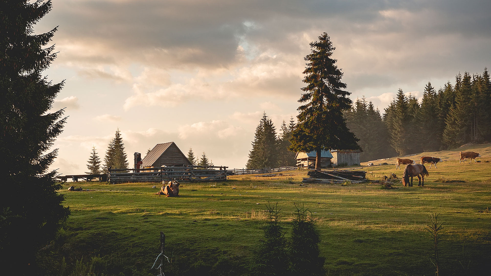 Drumetii Apuseni - Green Mountain Resort